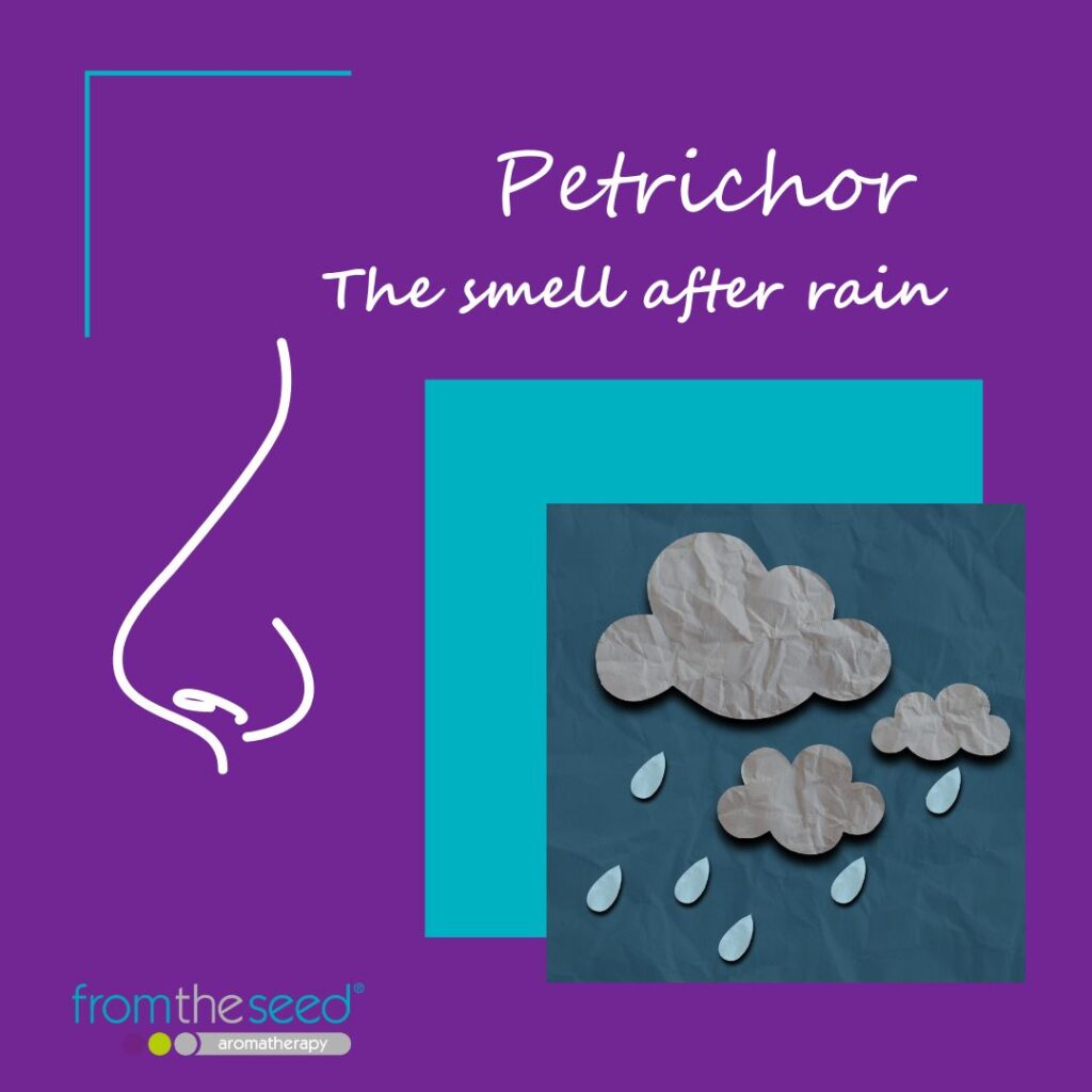 What is that smell after rain? | From The Seed